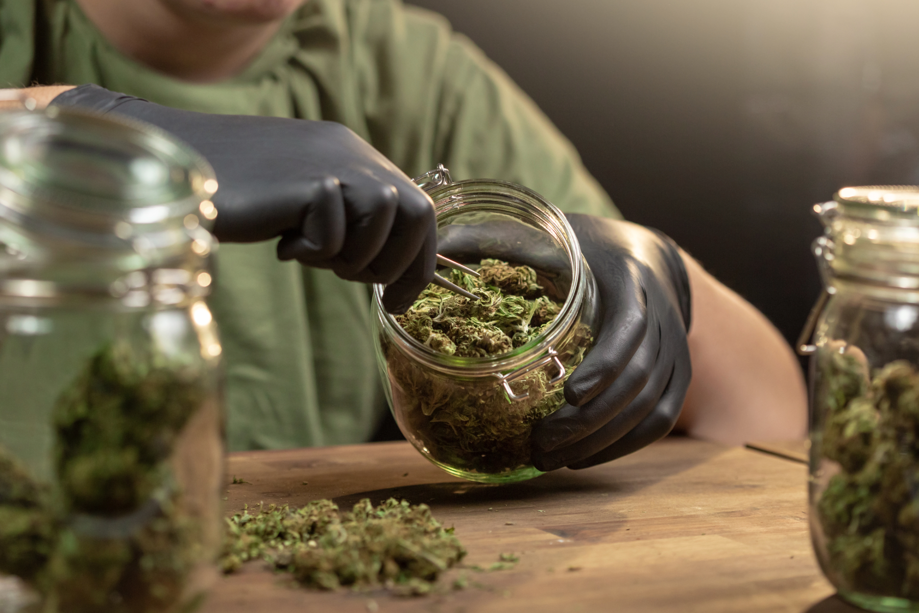 Understanding Arizona’s Proposition 200: Drug Convictions and Your ...